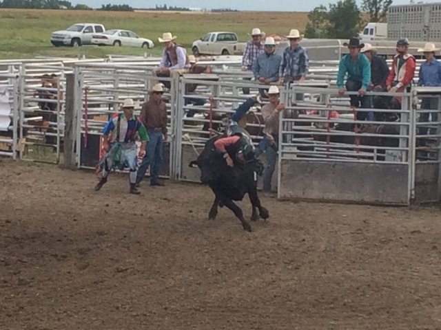 Kyle Rodeo Celebrates 40th Anniversary - SwiftCurrentOnline.com - Local ...