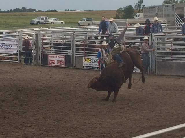 Kyle Rodeo Celebrates 40th Anniversary - SwiftCurrentOnline.com - Local ...