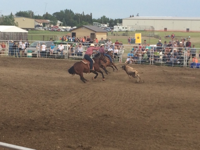 Kyle Rodeo Celebrates 40th Anniversary - SwiftCurrentOnline.com - Local ...