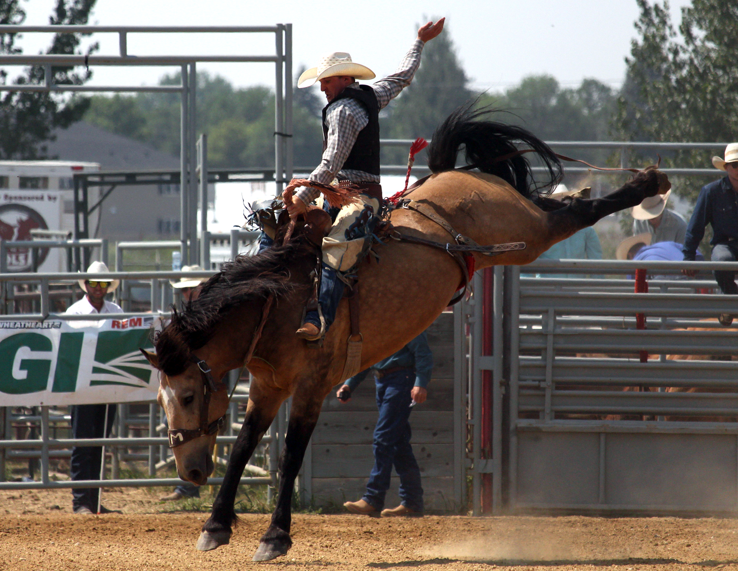 Photos: Unofficial Frontier Day's Rodeo Results Released ...