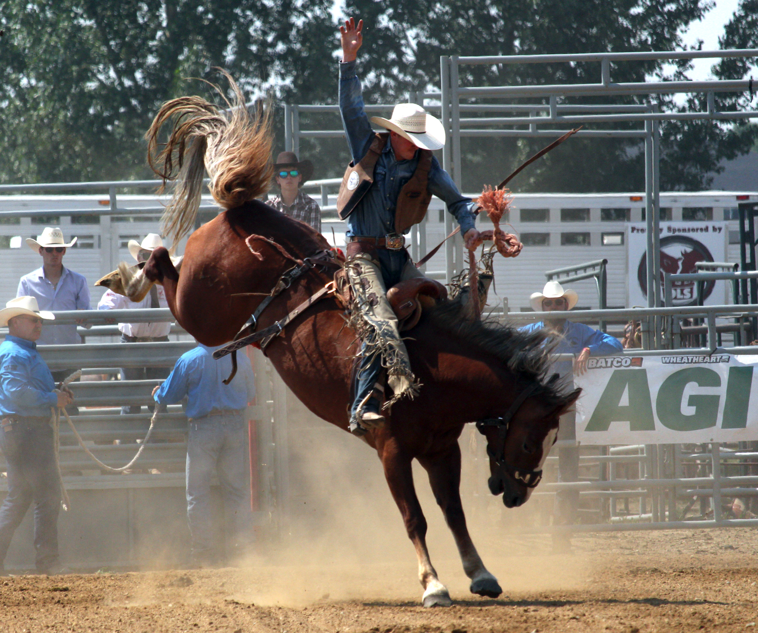 Photos: Unofficial Frontier Day's Rodeo Results Released ...