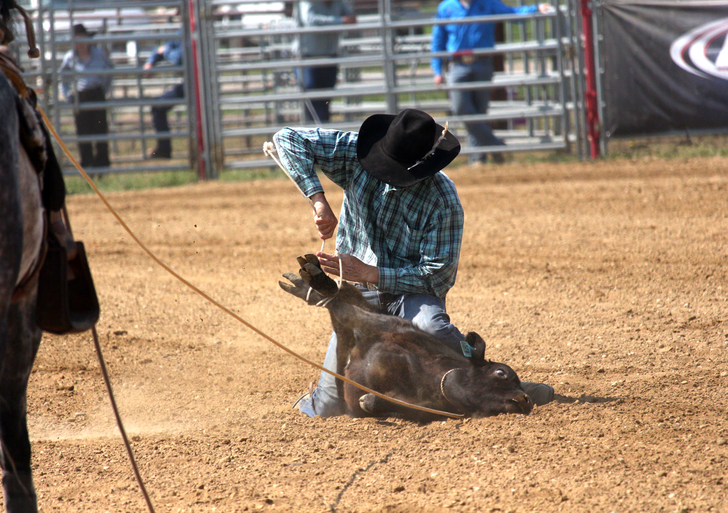 Photos: Unofficial Frontier Day's Rodeo Results Released ...