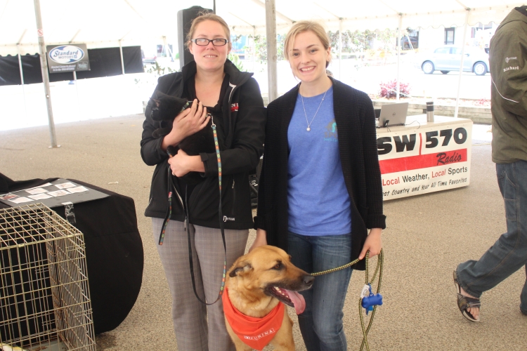 SPCA Radiothon Raises Over $23,000 - SwiftCurrentOnline.com - Local ...