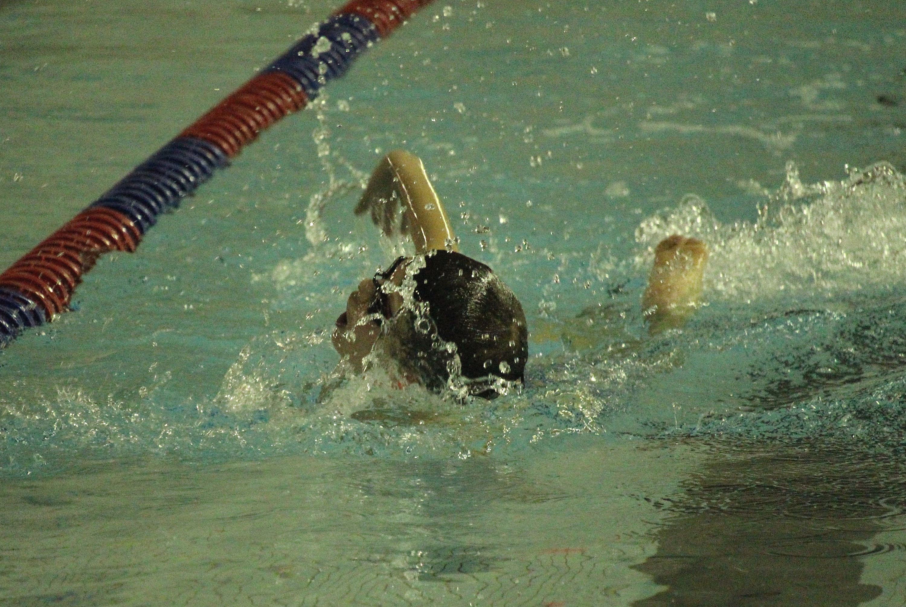 Annual Special Olympics Swift Current swim meet sees swarm of low times ...