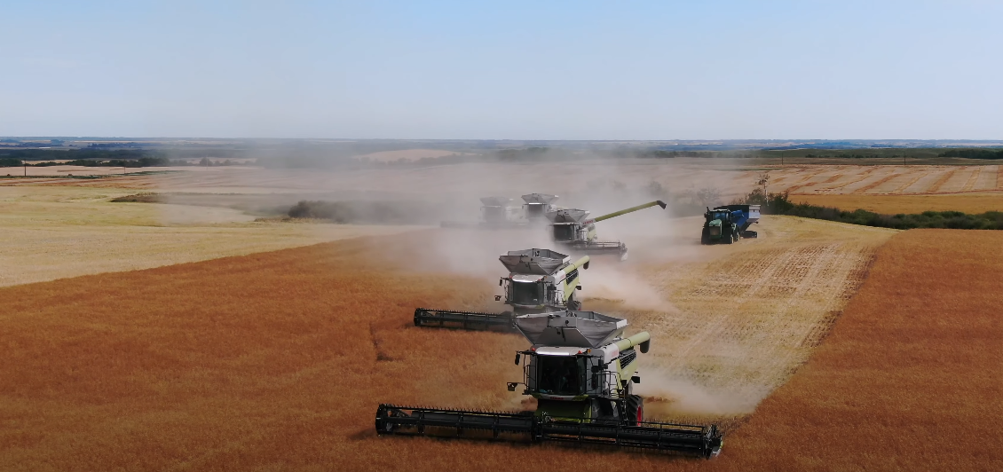 Sask Filmmaker Turns His Talent to a Prairie Harvest ...
