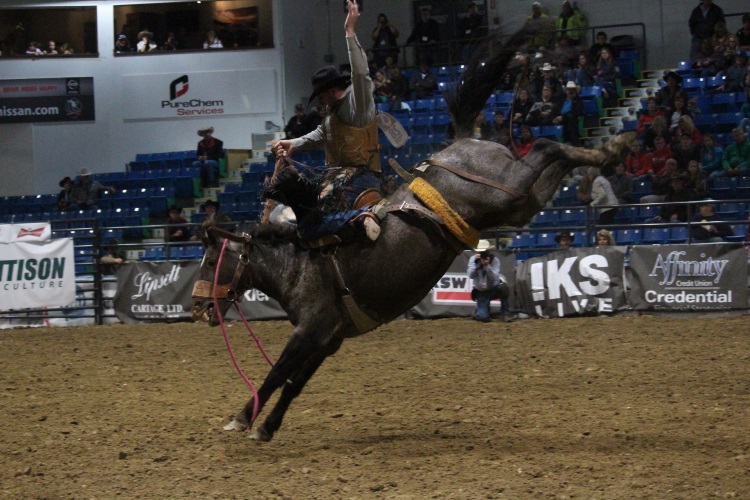CCA Finals Rodeo Tickets Go On Sale Today - SwiftCurrentOnline.com ...