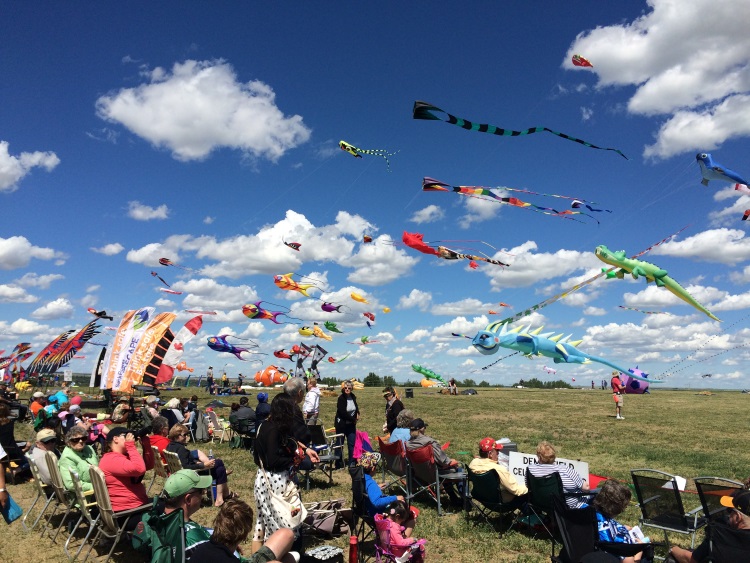Volunteers Needed for Windscape Kite Festival - SwiftCurrentOnline.com ...