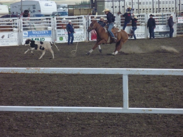 Annual Boomtown Days Stampede Ready to go in Shaunavon ...