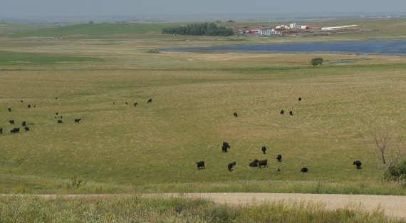 Government set to sell 48 lots of Crown land - SwiftCurrentOnline.com ...