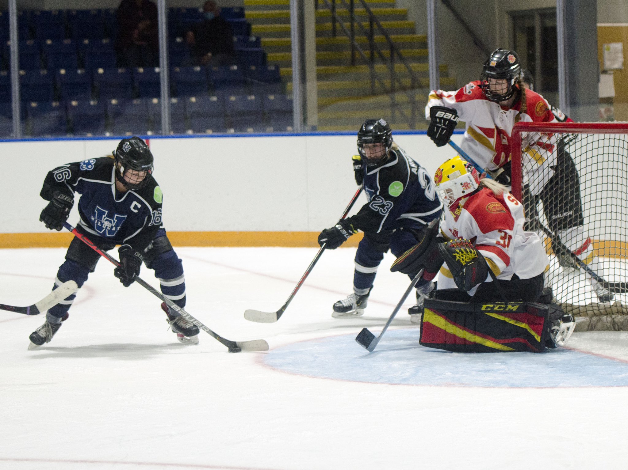 Wildcats to Send Billeted Players Home - SwiftCurrentOnline.com - Local ...
