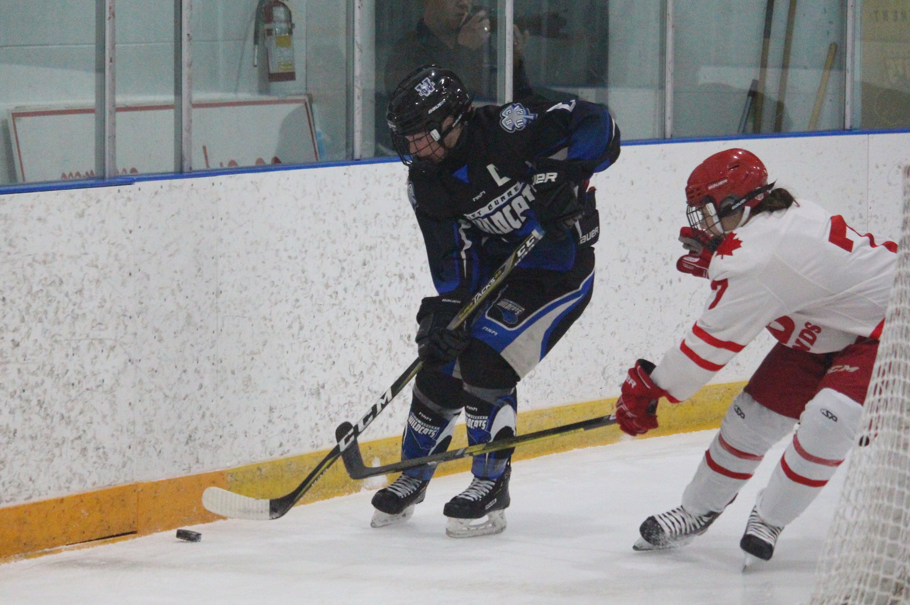 McCleary Named Wildcats' Captain - SwiftCurrentOnline.com - Local news ...