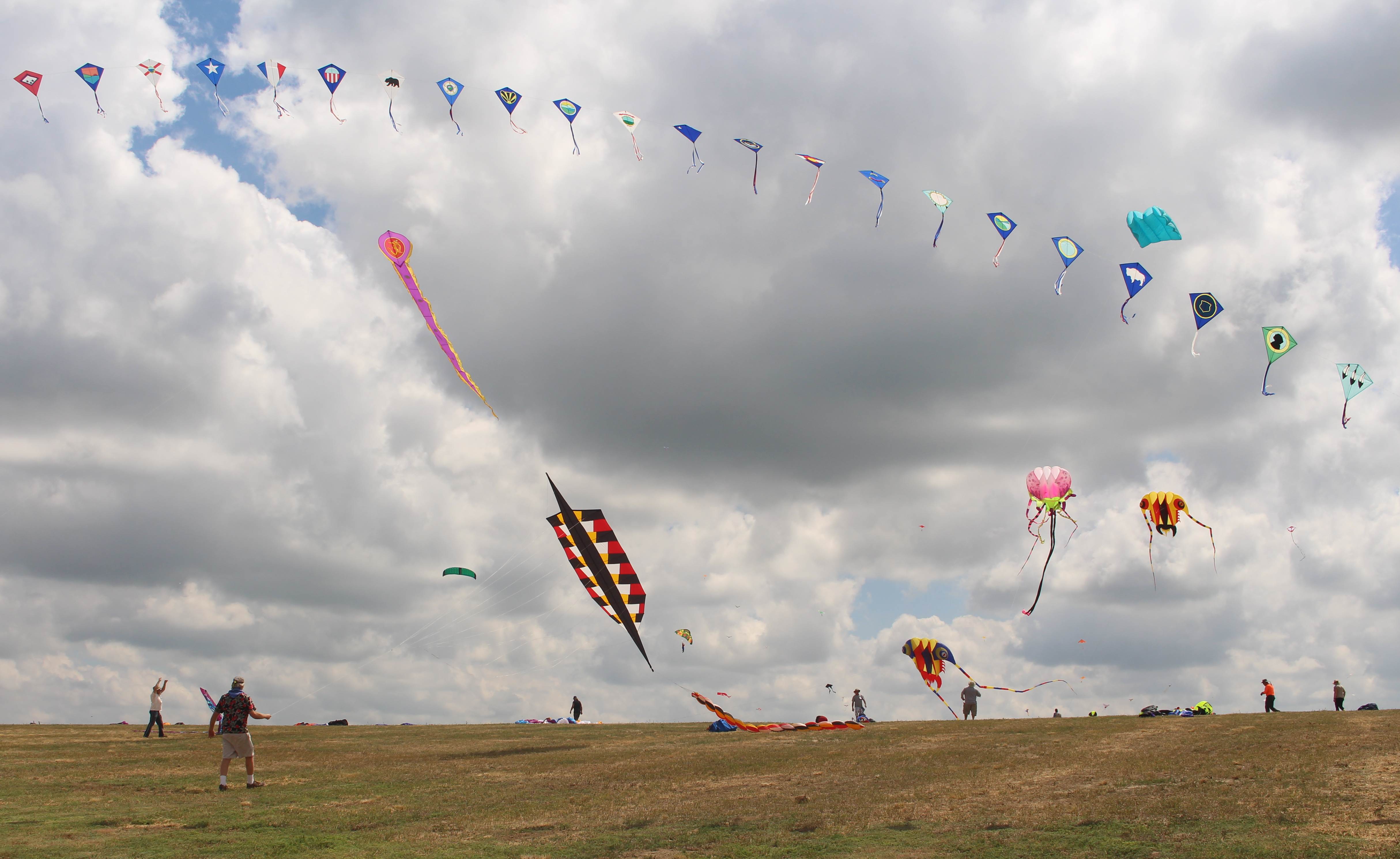 Windscape Kite Festival attracts a worldwide audience ...
