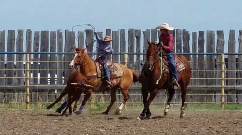 The Little Britches Rodeo Comes to Shaunavon - SwiftCurrentOnline.com ...
