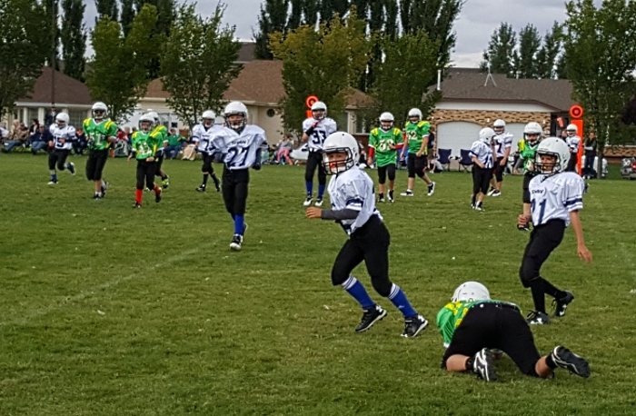 Minor football wraps up for Atom, Pee Wee, and Bantam divisions ...