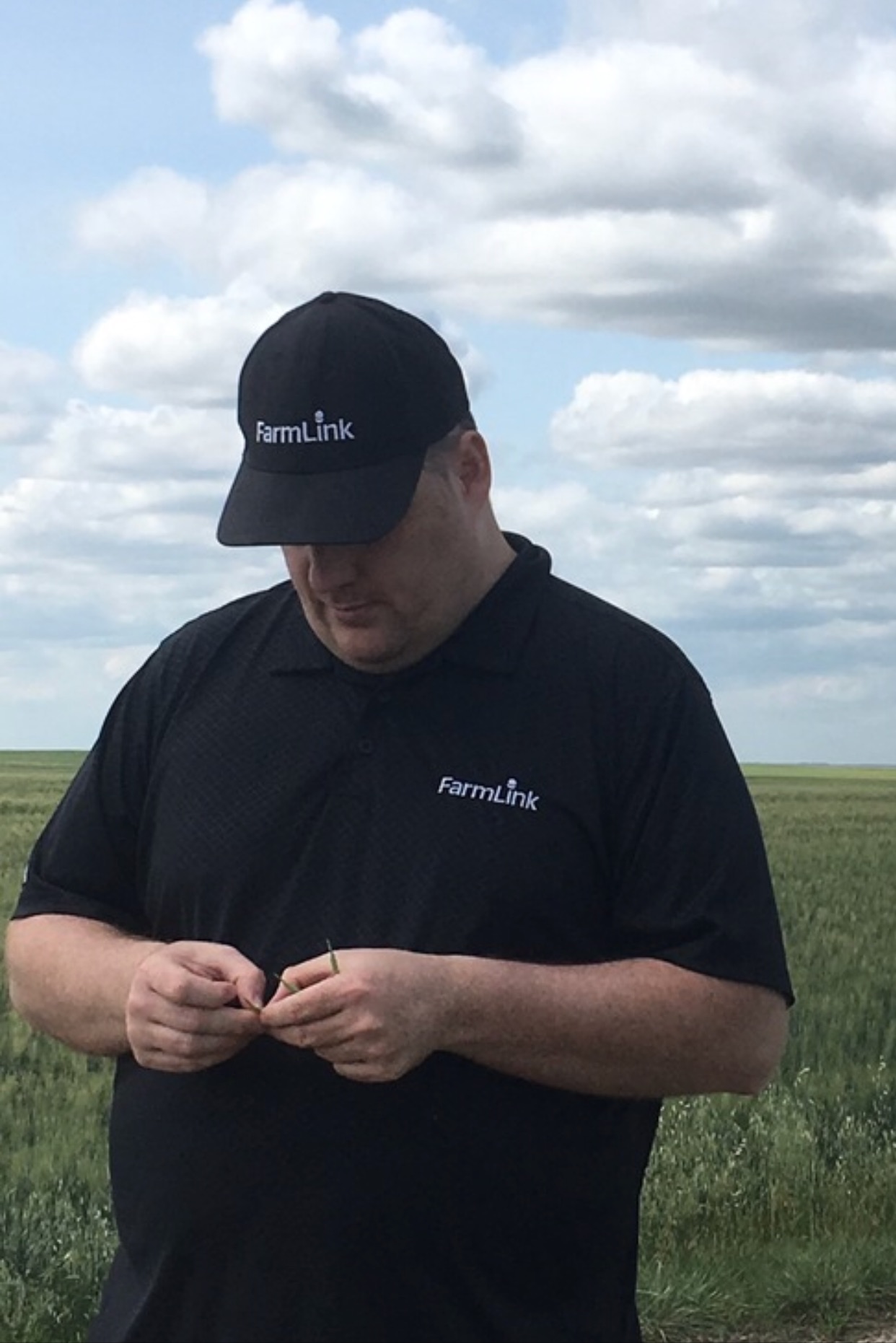 Grain World - Farm Link Marketing Solutions Crop Tour - SwiftCurrentOnline.com - Local news ...