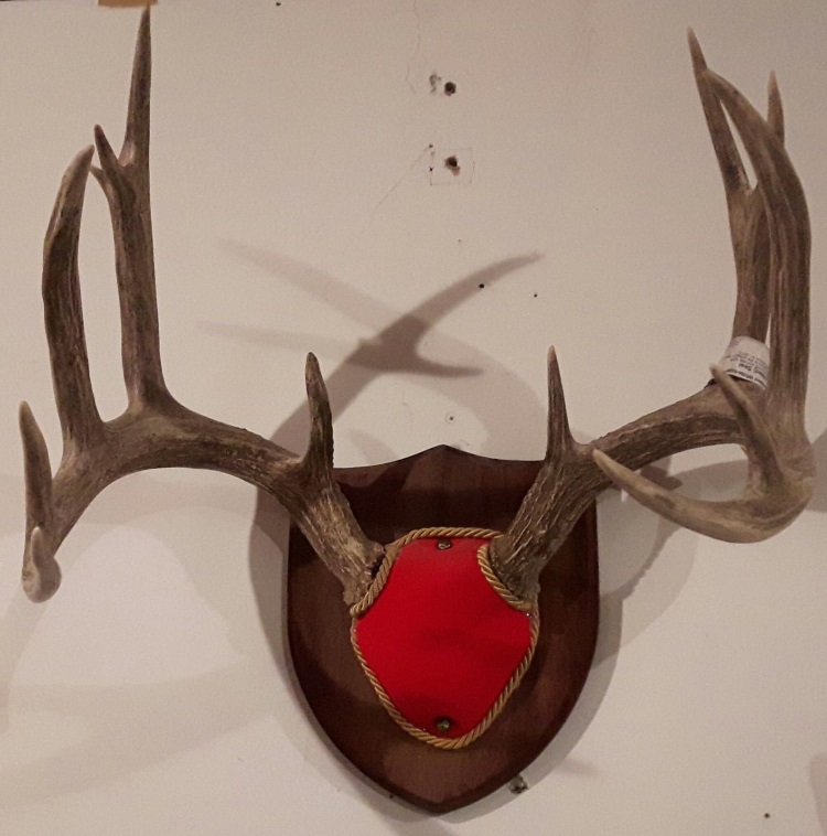 Shaunavon Wildlife Federation Holds Horn Measuring Afternoon ...