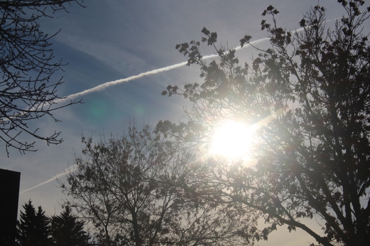 Mostly Clear and Sunny Skies Forecasted for the Weekend ...