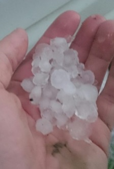 Hail Claims increase in Saskatchewan - SwiftCurrentOnline.com - Local ...