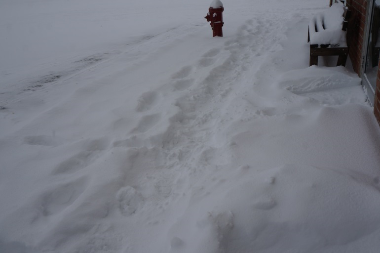 Snowfall Warning for the Shaunavon Area - SwiftCurrentOnline.com ...