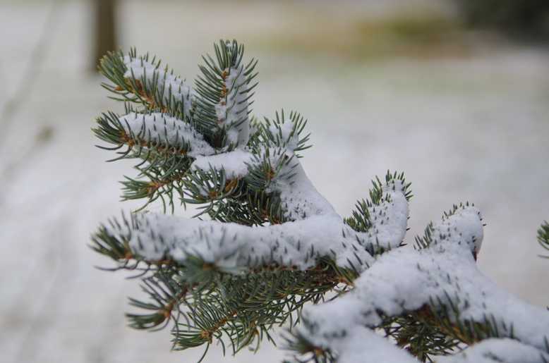 Snowfall Totals For 3-day Storm in Southwest Saskatchewan ...