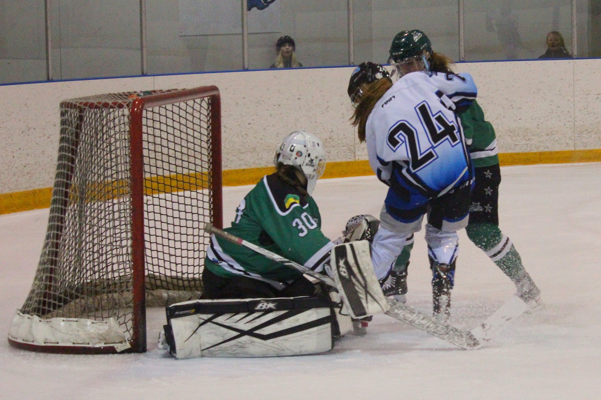 Abundance of southwest talent on District 3 hockey rosters for 2018 ...