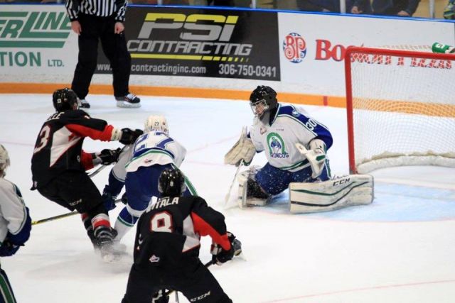 Is the future now for young Broncos goaltenders? - SwiftCurrentOnline ...