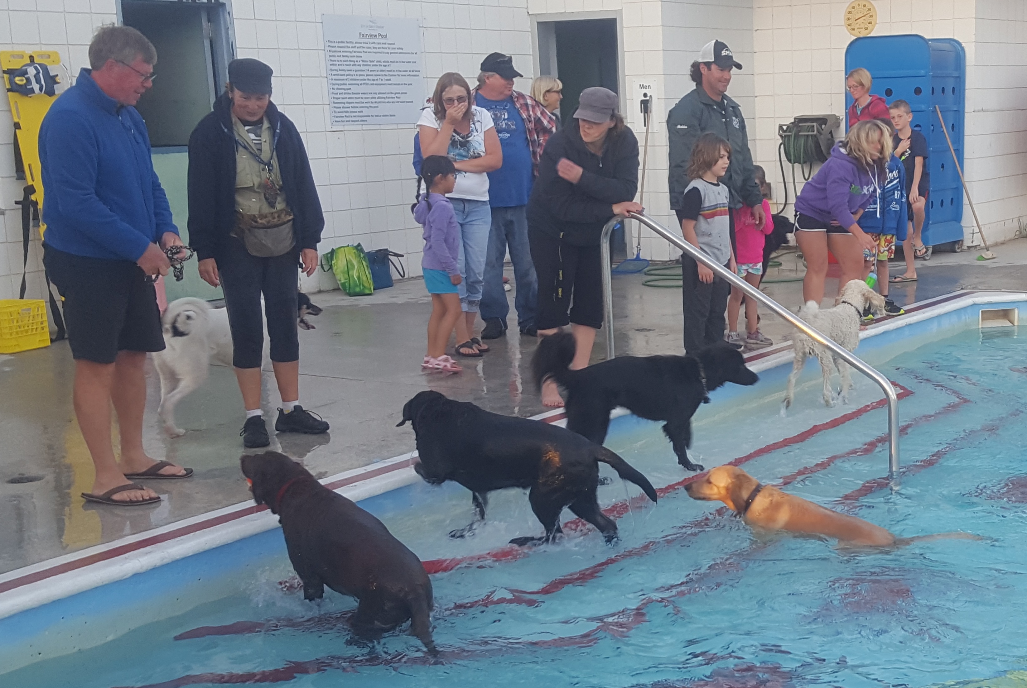 Prepare For Pooch Plunge - SwiftCurrentOnline.com - Local news, Weather ...