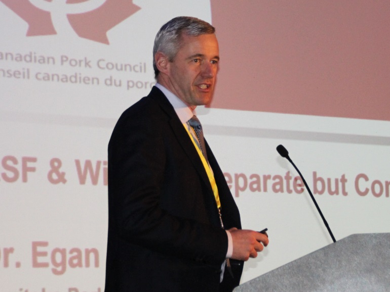 Educating About African Swine Fever - SwiftCurrentOnline.com - Local news, Weather, Sports, Free ...