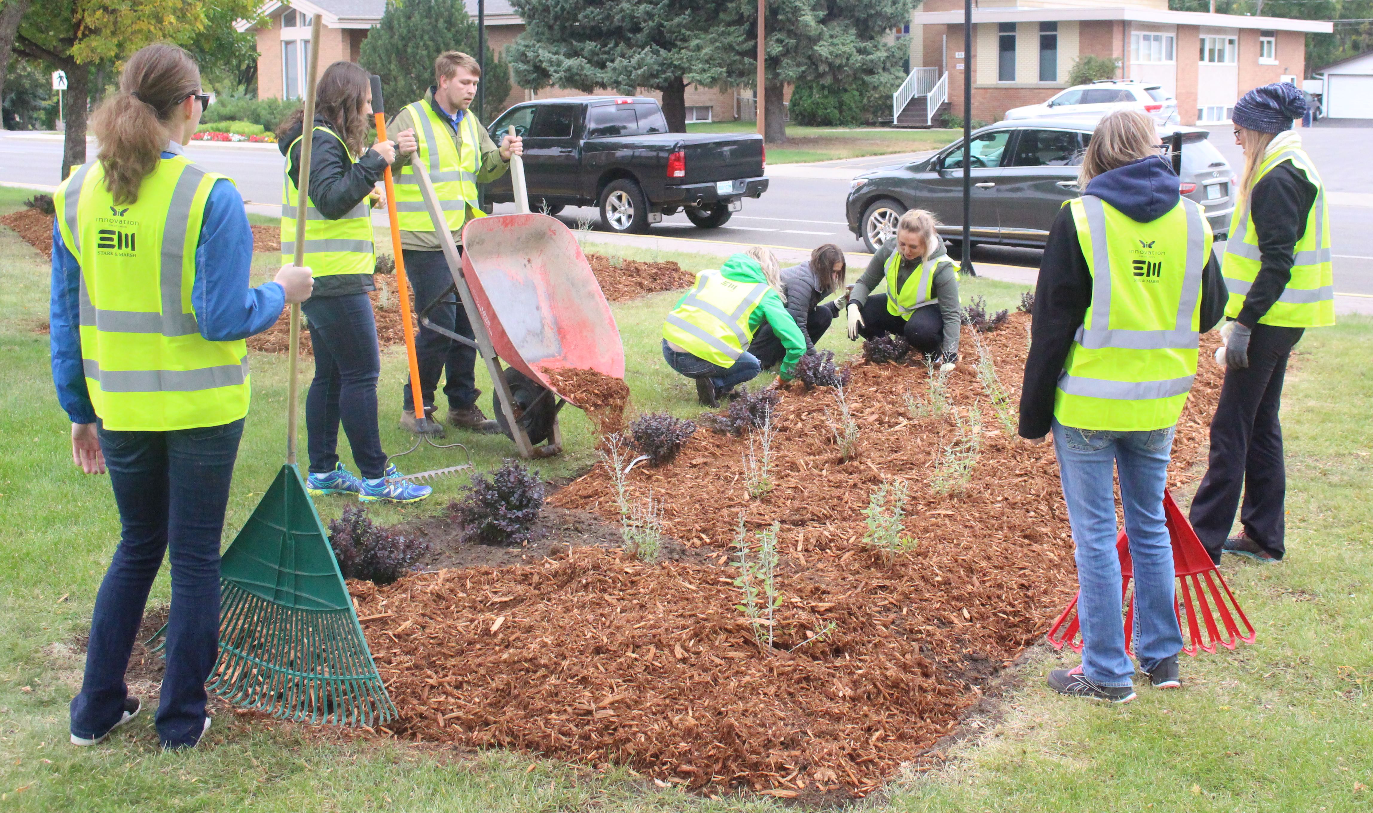 Go Green to Rejuvenate Multiple Swift Current Parks ...