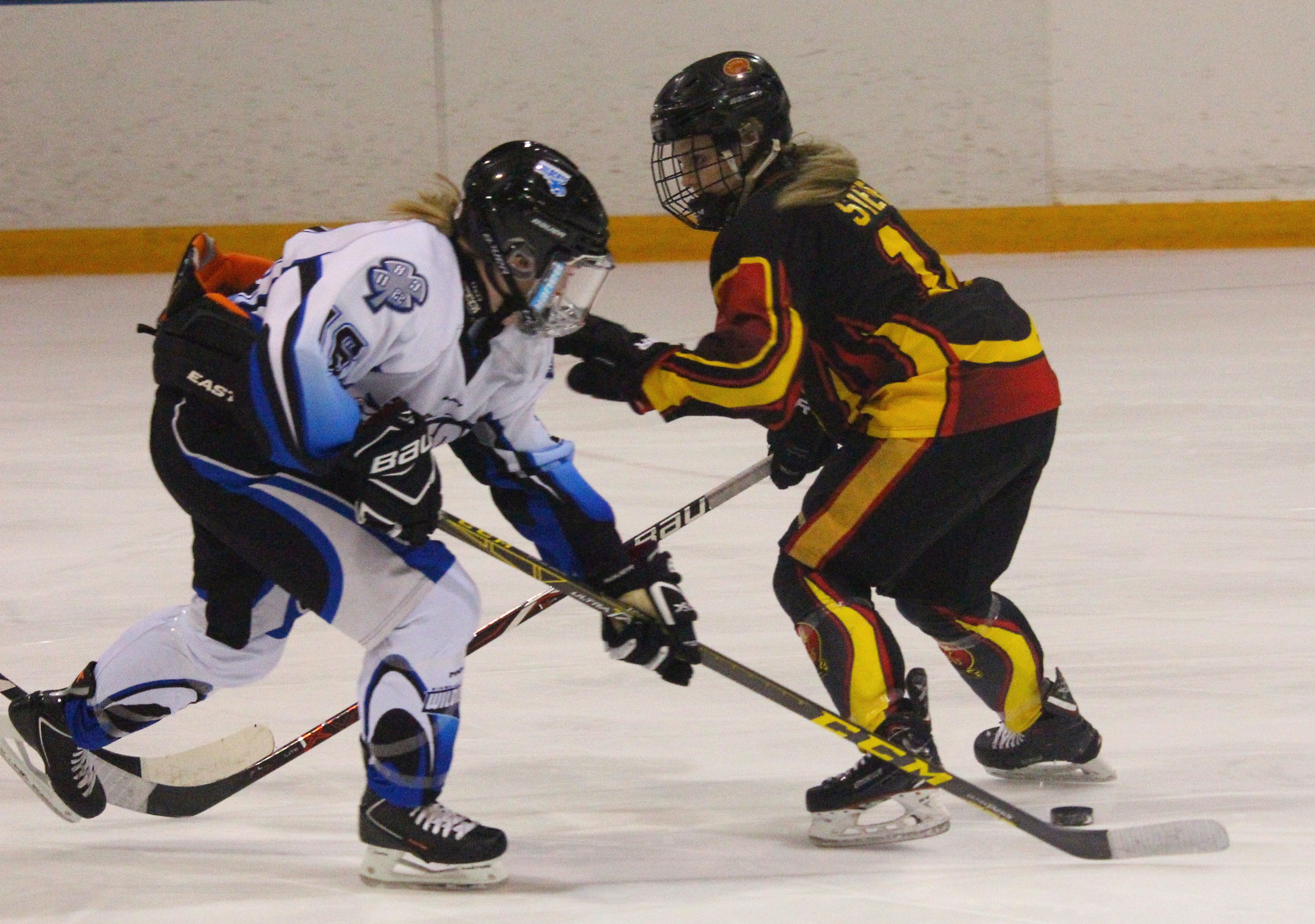 Tense double-OT loss ends Wildcats' season - SwiftCurrentOnline.com ...