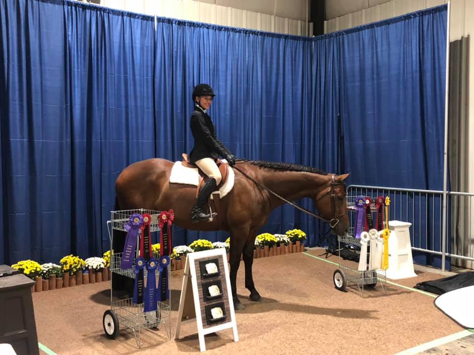 Goddard Cleans up at Canadian Quarter Horse Finals - SwiftCurrentOnline ...