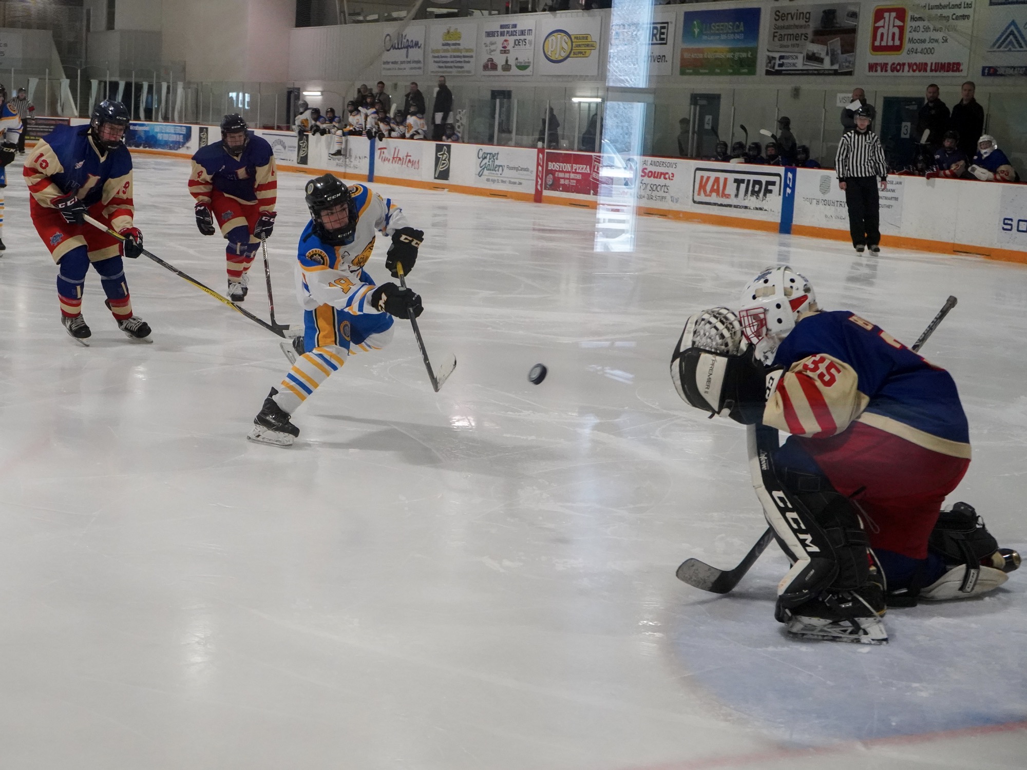 PHA Picks Up Five Wins This Weekend - SwiftCurrentOnline.com - Local ...