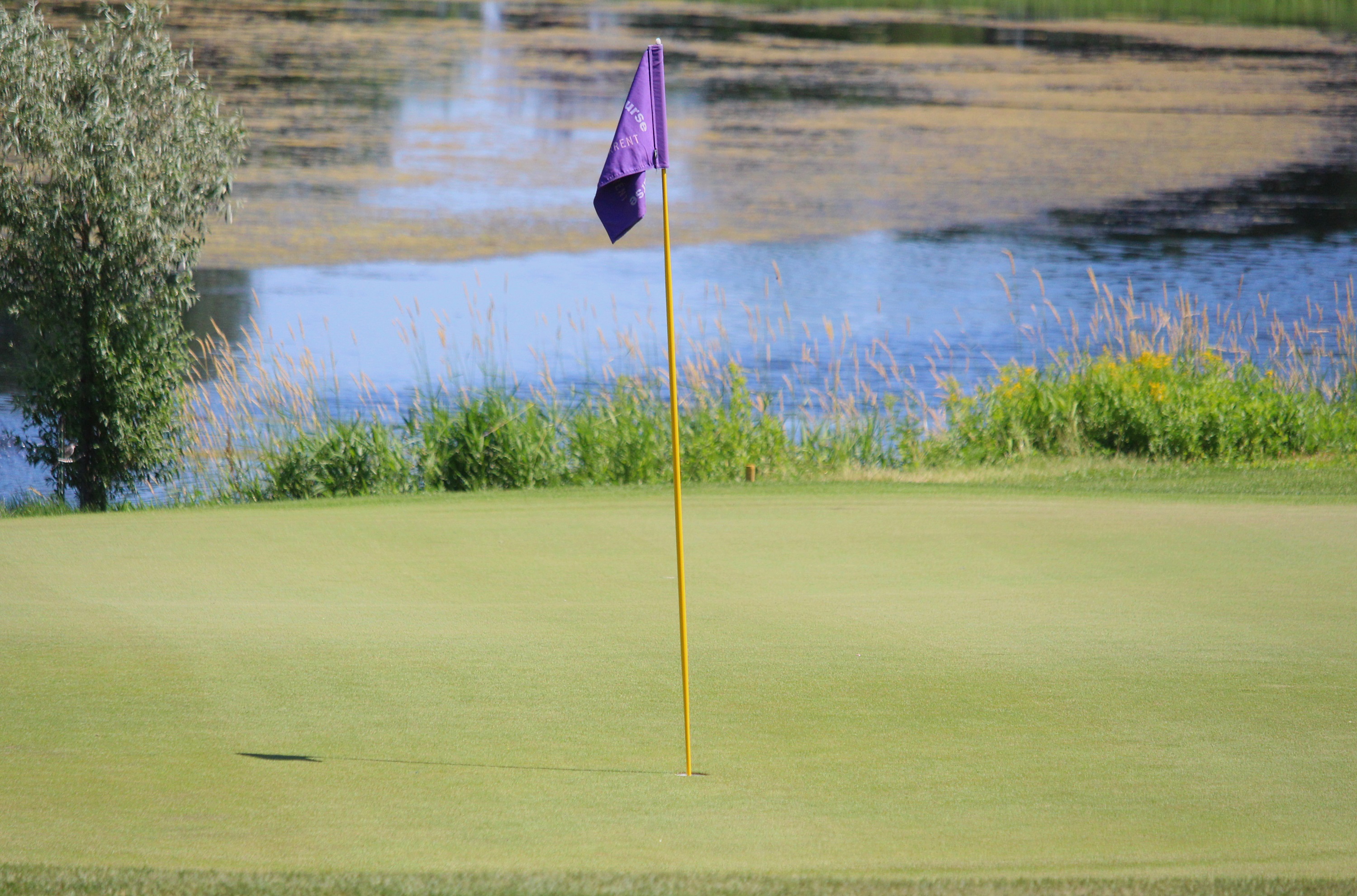Southwest Golf Crowds Leaderboard at Chinook-Hosted Event ...