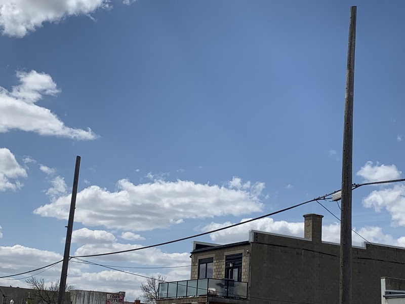 Sask Power Embarks On Yearly Power Pole Project - SwiftCurrentOnline ...