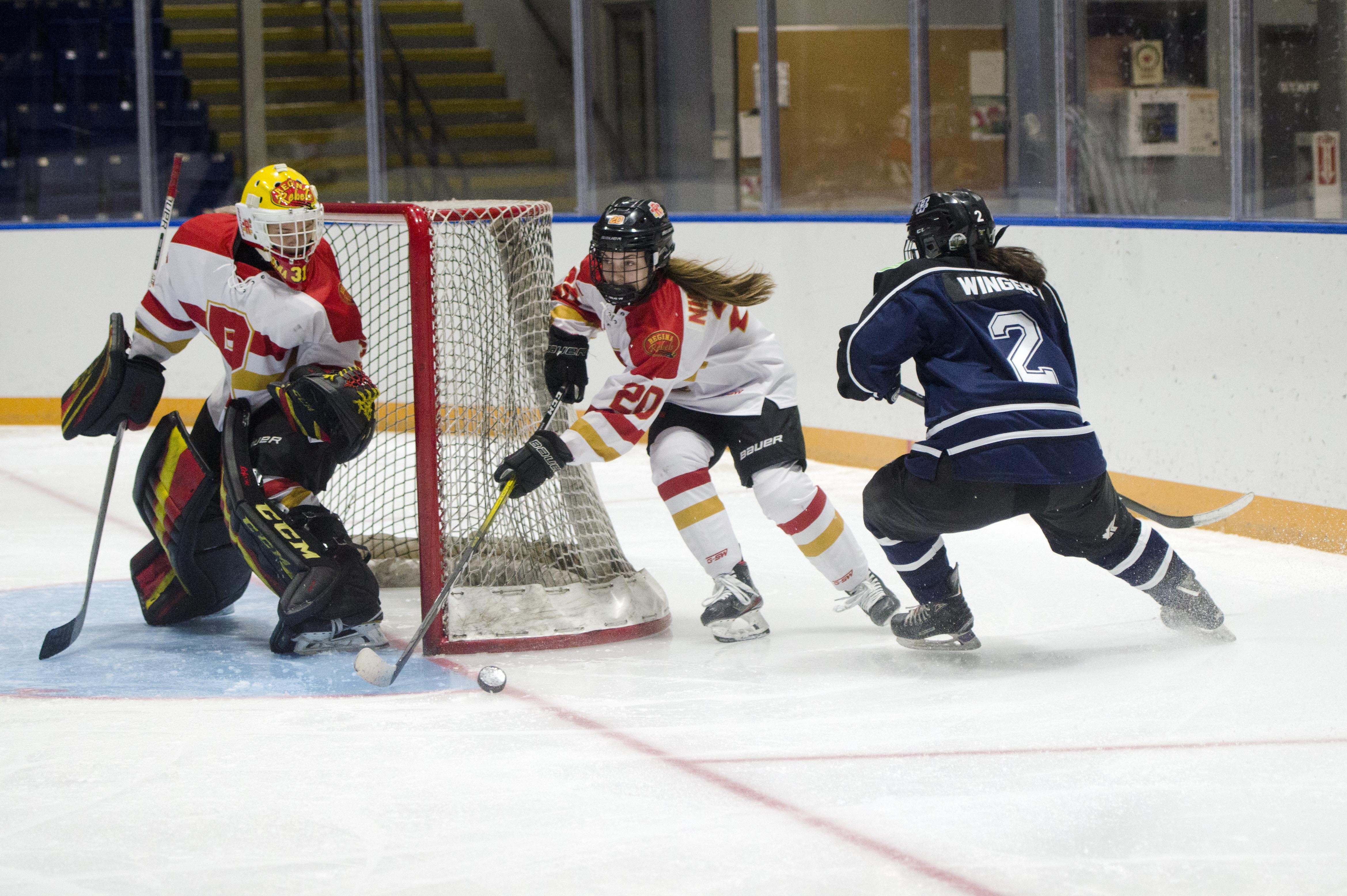 Wildcats reign over Rebels continues - SwiftCurrentOnline.com - Local news, Weather, Sports ...