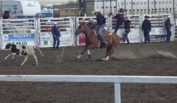 CCA Rodeo Returns to Frontier Days - SwiftCurrentOnline.com - Local ...