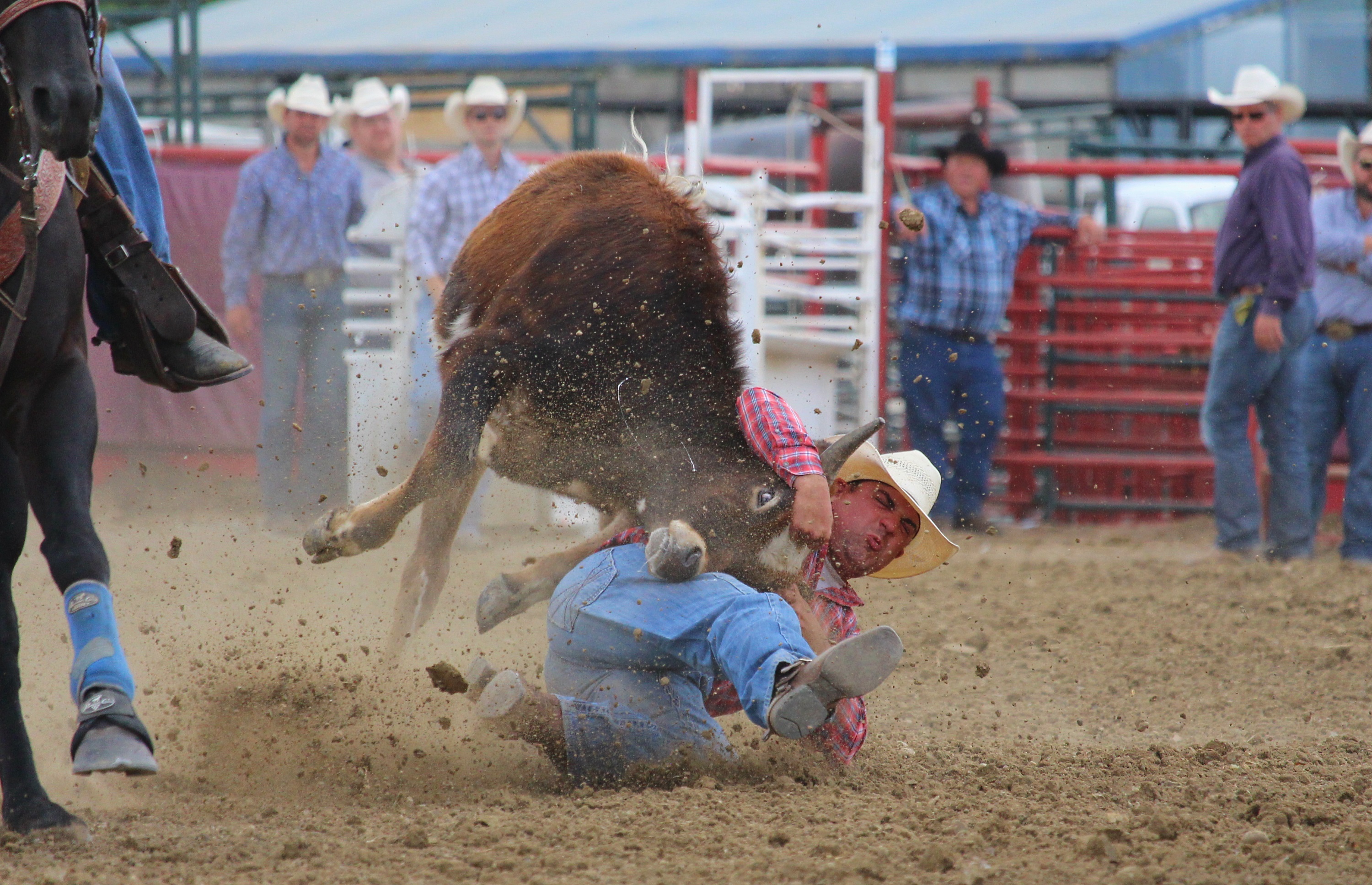 Southwest dominates at CCA rodeo stop in Wood Mountain ...